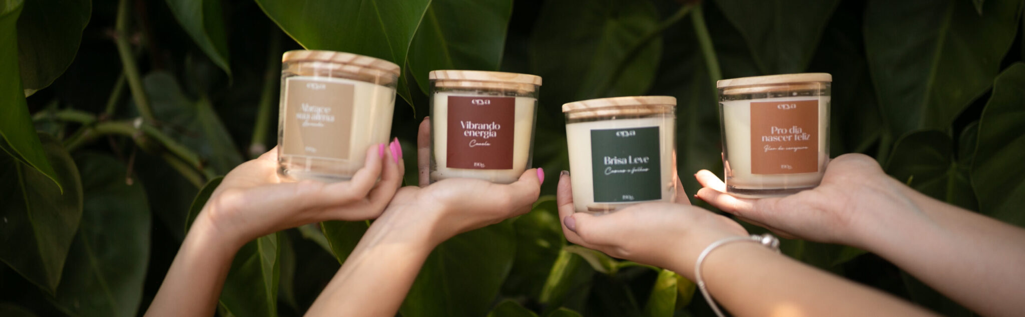 Home - ervalab.com.br